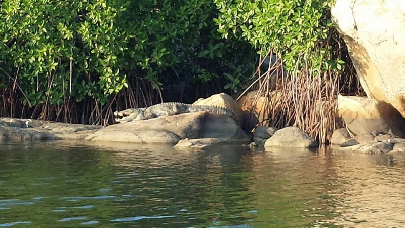 Pottuvil Lagoon Tour » Paddyway Tours