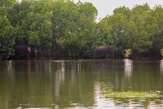 Pottuvil Lagoon Tour » Paddyway Tours