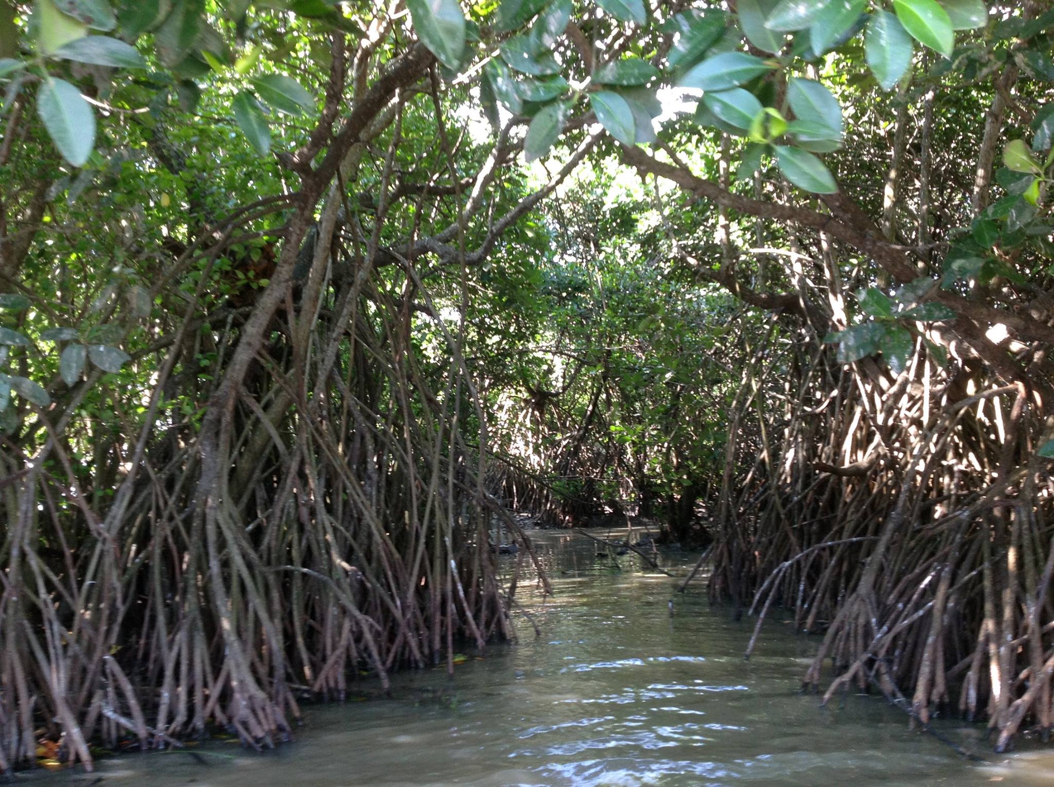 Pottuvil Lagoon Tour » Paddyway Tours